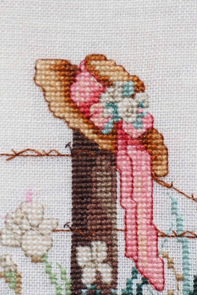 "Ruban rose" de Paula Vaughan - BRODEV