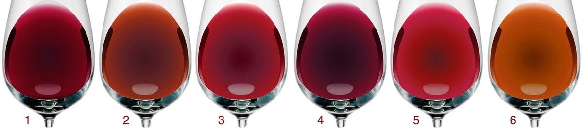 « Pourquoi le vin rouge… est-il rouge ? » - "Les Compagnons de la ...