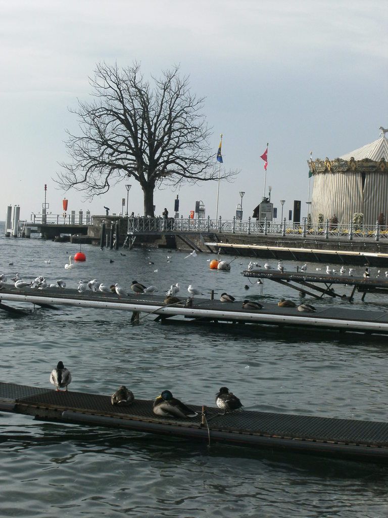 ALIMENTARIUM DE VEVEY ET MUSEE D ART BRUT - Bac pro ASSP Chamonix ( ex blog des BEP CSS de Chamonix)