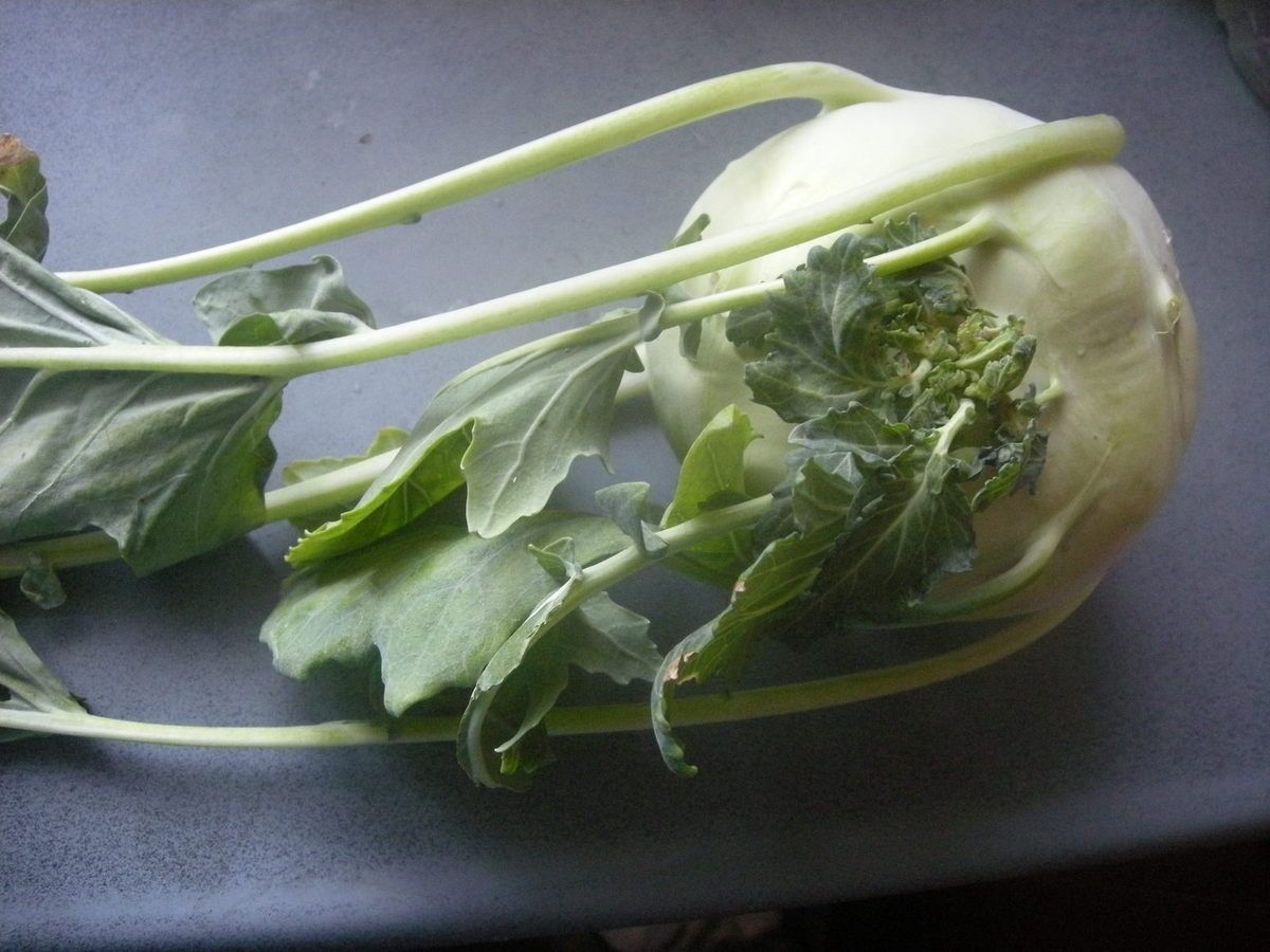 Chou rave en salade . - Cuisine de saison familiale et festive