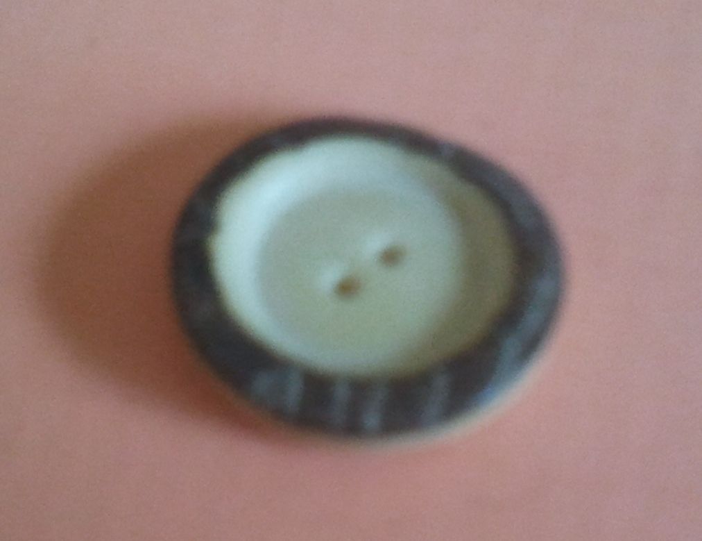 Tagua du Panama, l'ivoire végétale! - Le blog des NATURALIENS