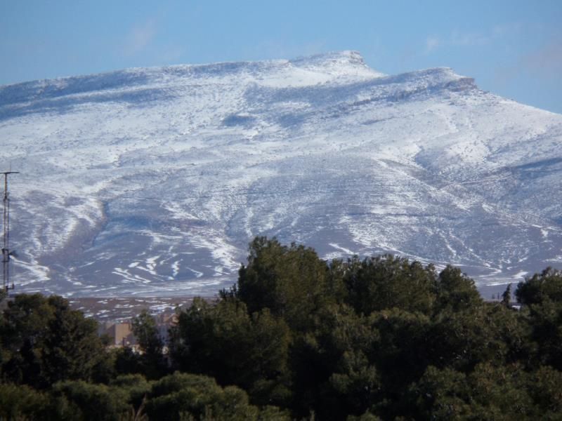 FREE HAND DRAWING WITH VISUAL FOXPRO - Visual Foxpro codes