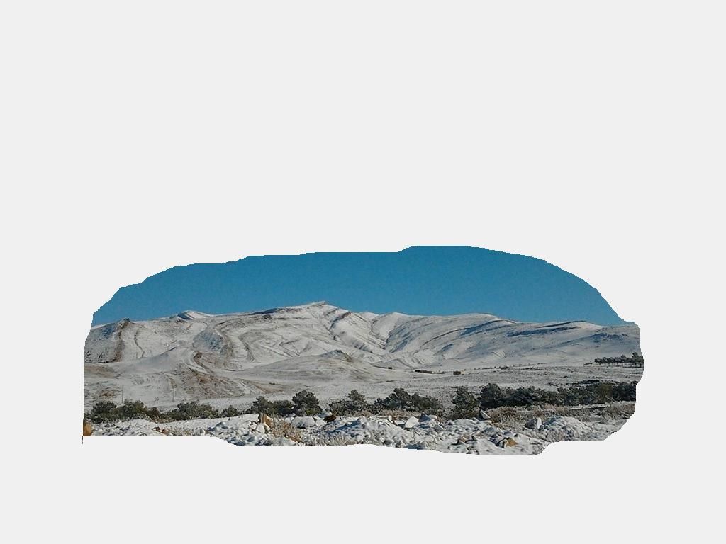 Free hand captures as bitmaps - Visual Foxpro codes