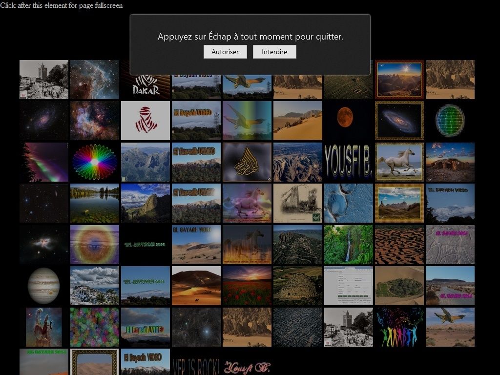 The Web Fullscreen API throw an images viewer sample - Visual Foxpro codes