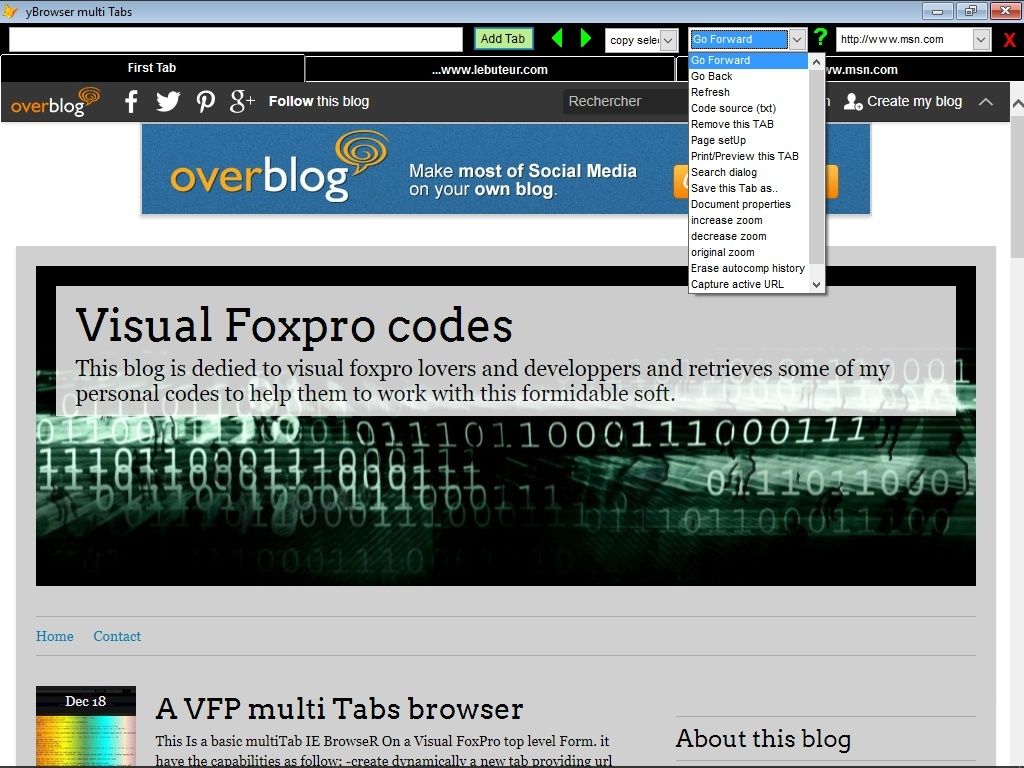 A VFP multi Tabs browser - Visual Foxpro codes