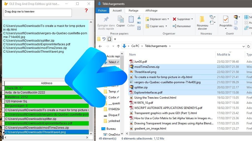 VFP OLEDRAGDROP with treeview,textbox,listbox ,editbox,grid,image from windows explorer ...