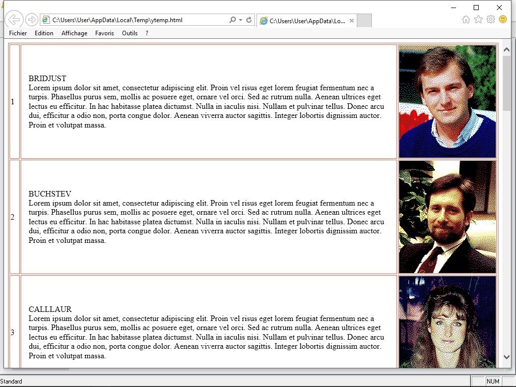 Embedding images in code - Visual Foxpro codes