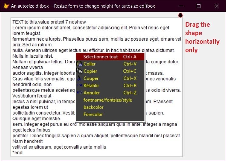 An autosize VFP editbox - Visual Foxpro codes