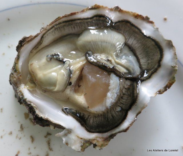 Marée du siécle sur St Malo - Stampin up