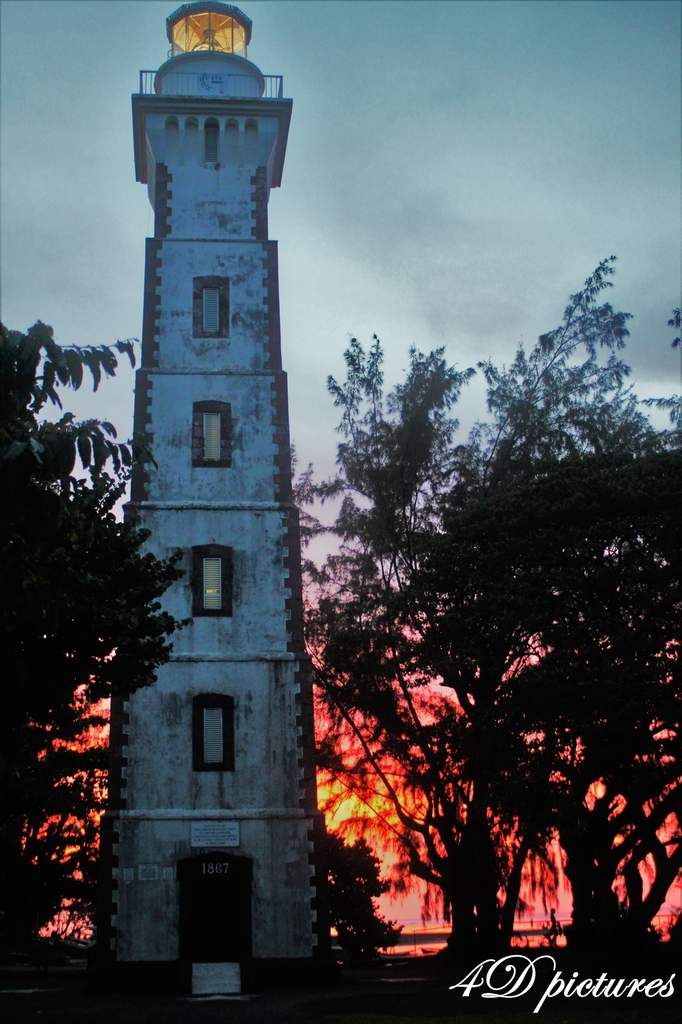 Pointe Vénus - Le papillon de Maë-Va à Tahiti