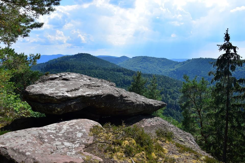 Petite balade au Brotsch - randoalsacevosges