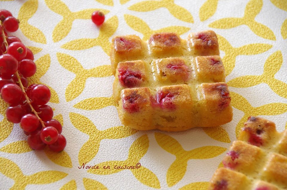 Moelleux aux groseilles - Le blog de novice en cuisine