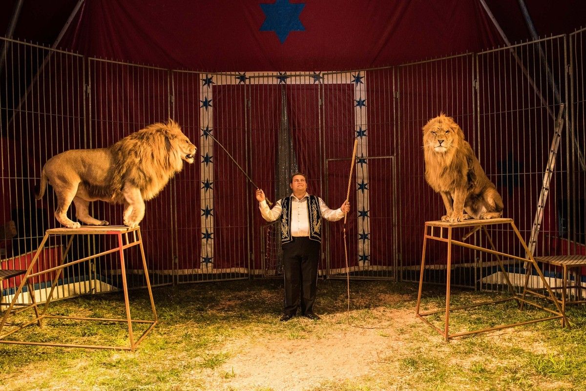 Communiqué : Cirque Buffalo - 24 heures en Eure et autour des Andelys