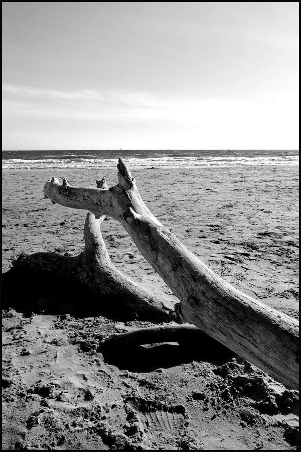 Déréliction - Le blog de michel.theron.over-blog.fr