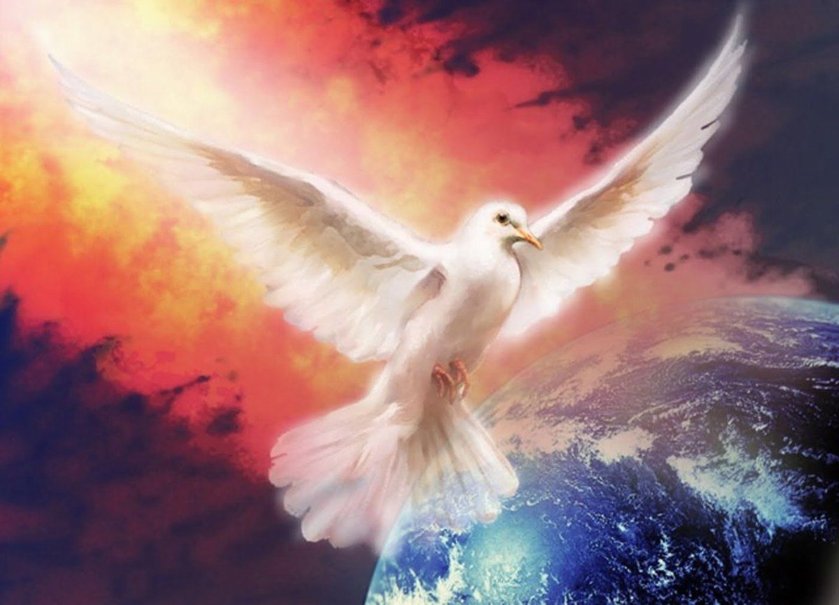 Message du Divin Saint Esprit - Jacarei 8 décembre 2015 - Solennite de ...