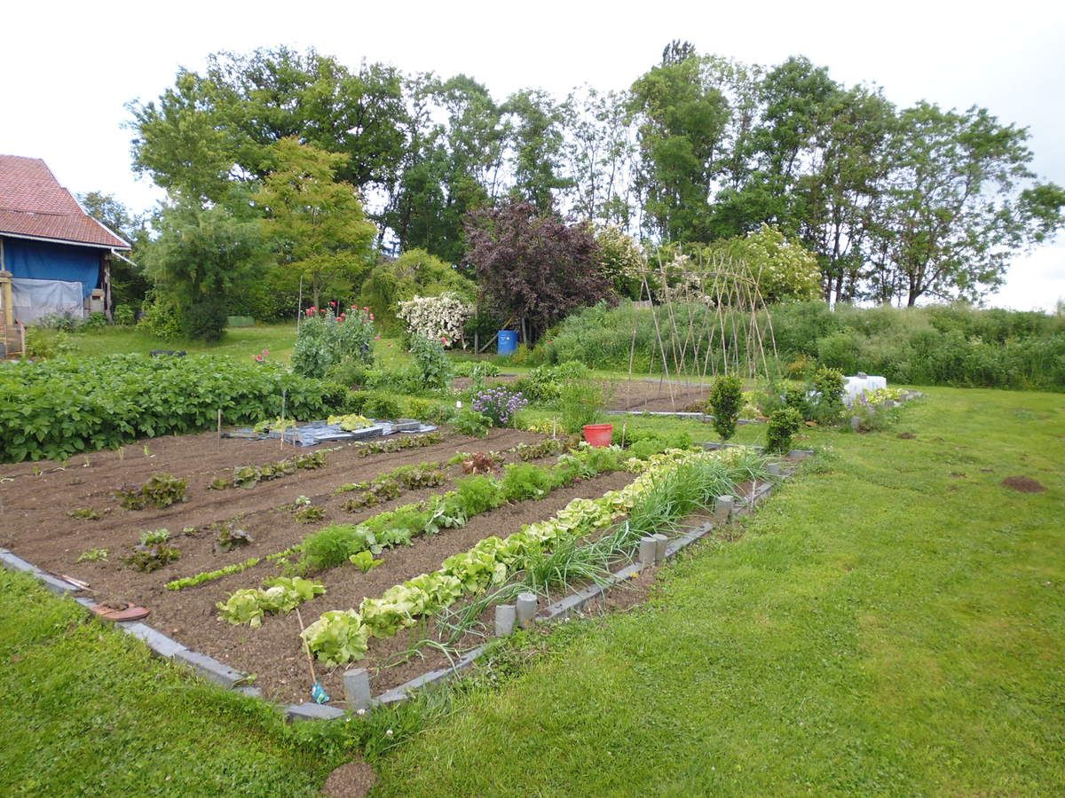 le jardin potager au naturel - camper naturistes