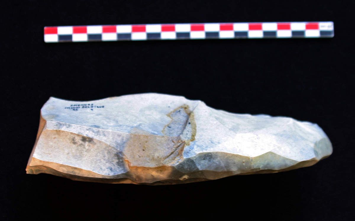 Nucléus à Lames des Mines de Spiennes / Blade Core From Neolithic ...