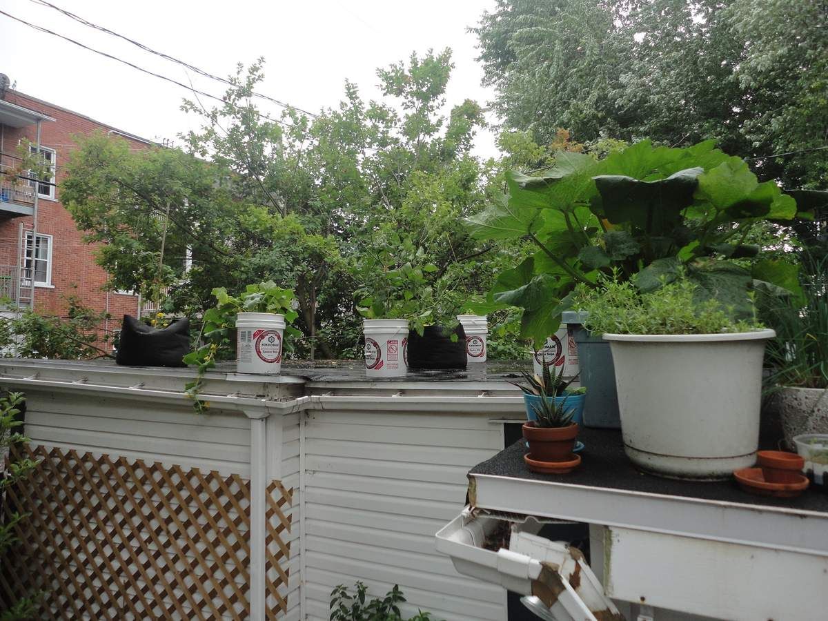 Pour Mamie Mado ! - familleaucanada