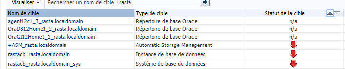 ORA-28040: No matching authentication protocol - LAMI DBA