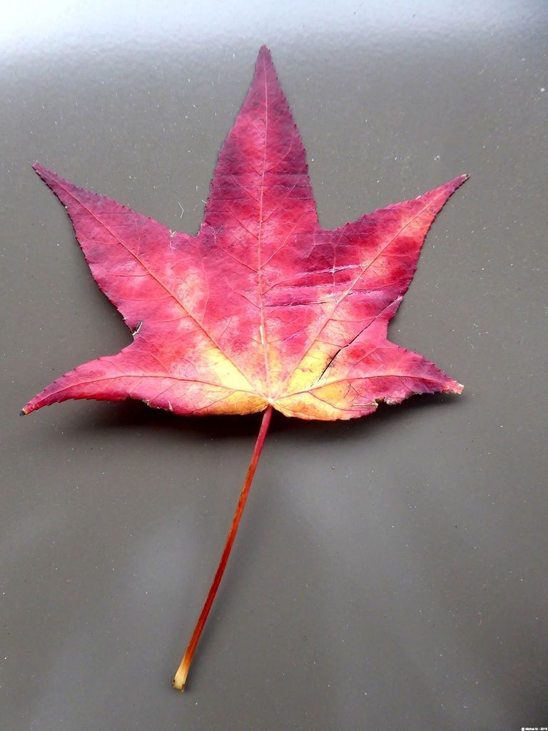 Indicateurs colorés (part1) - La vie à Montbonnot-Saint-Martin