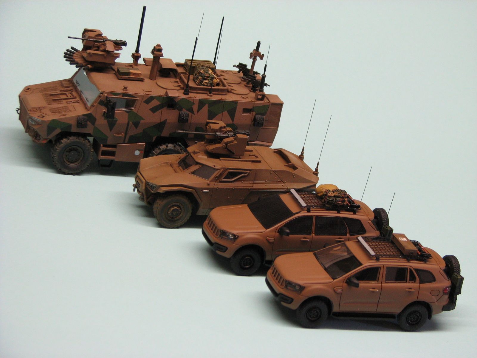 Brun Terre de France, Master Fighter... dans le ton (par Robert B ...