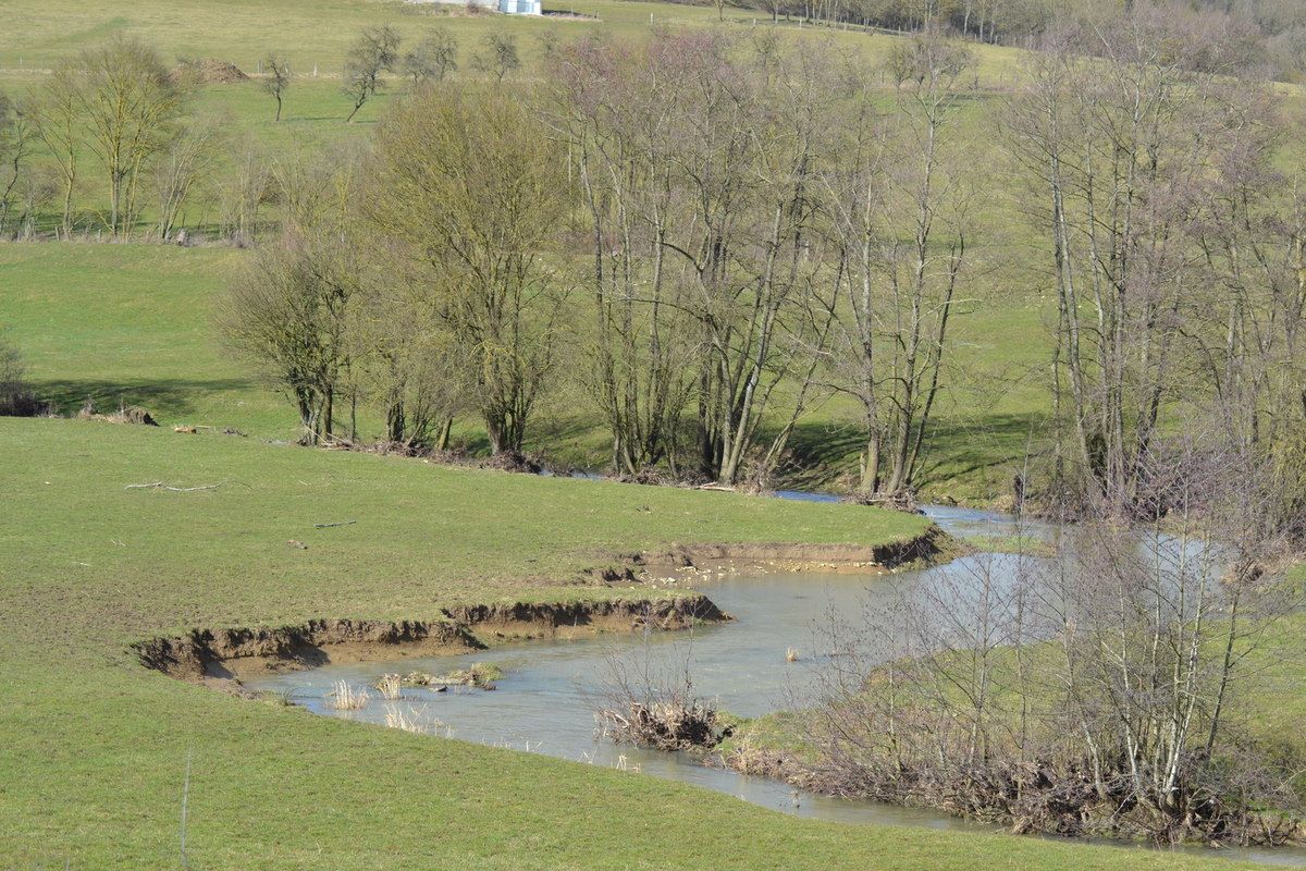 Association de Sauvegarde de la Vallée de l'Isch - ANAB Association ...