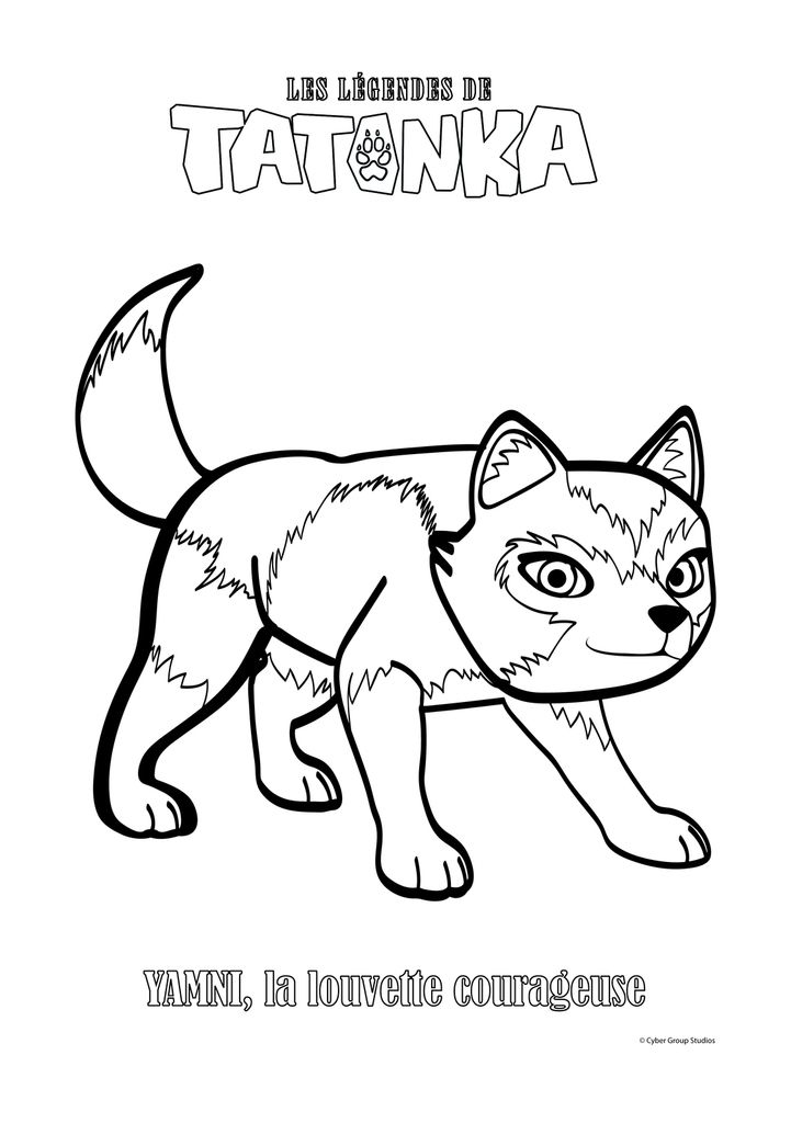 Les légendes de Tatonka - Le Blog de Jackie