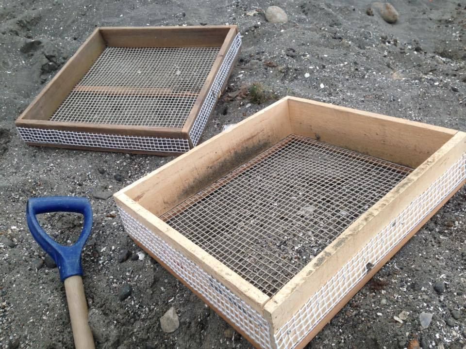 En première mondiale : les photos des nouveaux tamis ! - Le Vieux ...