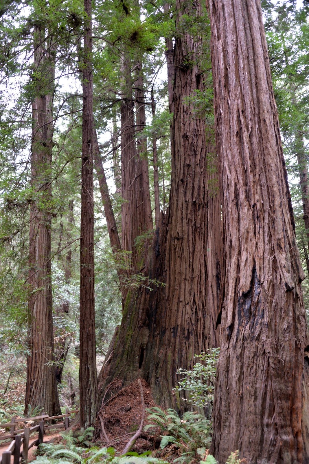 Et quelquefois j'ai comme une grande idée de Ken KESEY aux Ed Toussaint ...