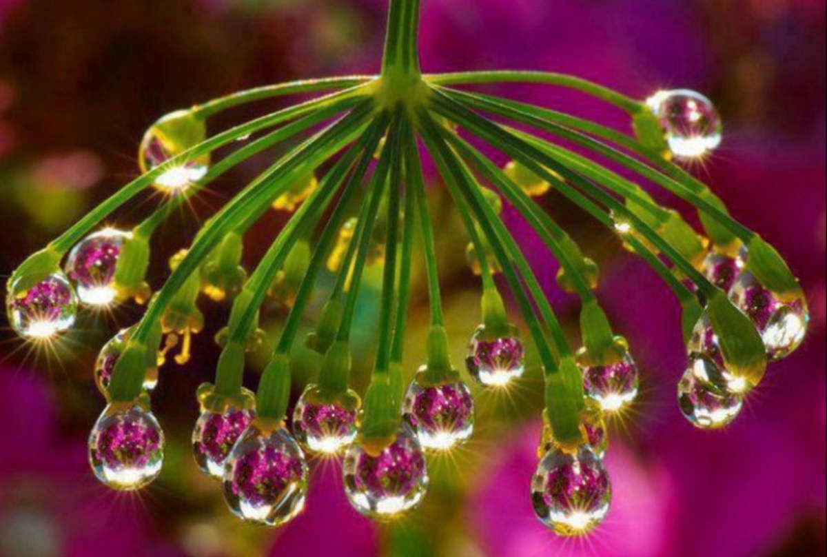 Une brassée de fonds d'écran de printemps - Le blog de la famille Storcka