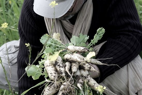 Collectif "Torba" : " Des blocs de béton aux mottes de terre ...