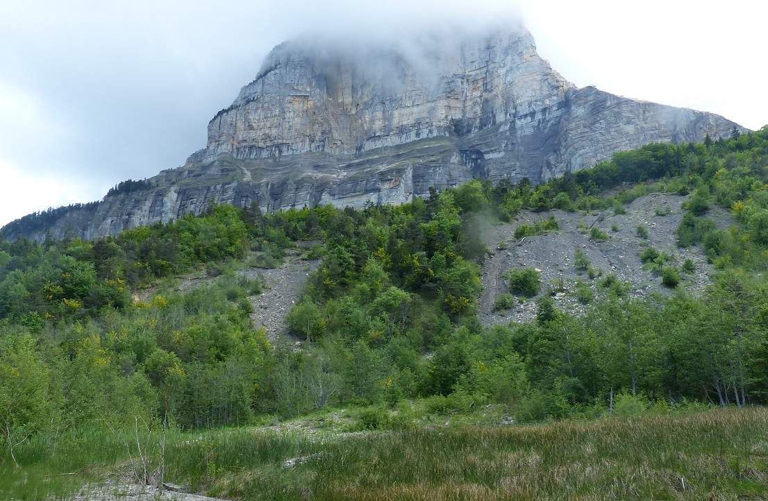 Le Granier, les Sabots de Vénus et le Crepis praemorsa (2) - LE BLOG DU ...