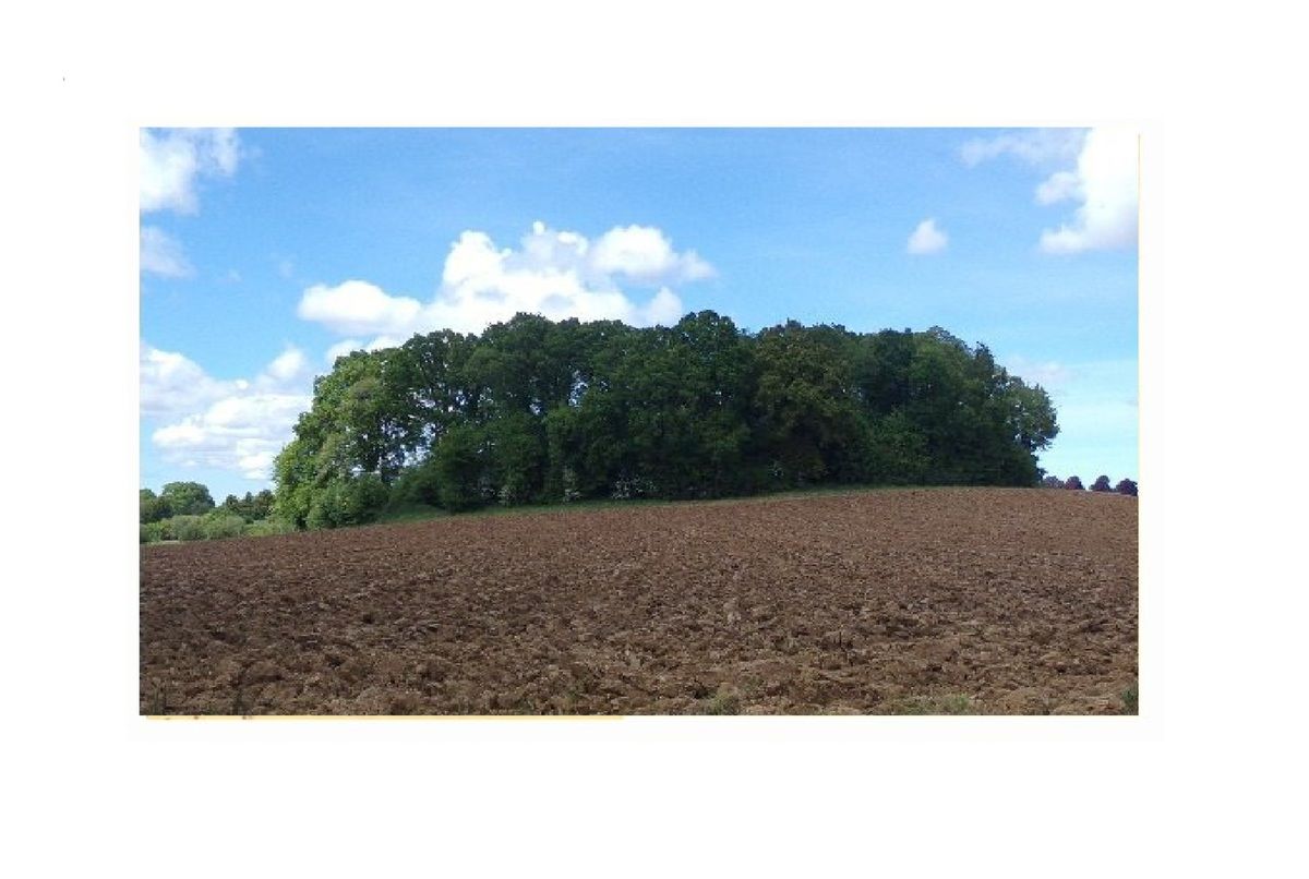 Les mottes castrales - poudouvre