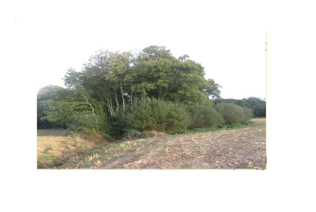 Les mottes castrales - poudouvre