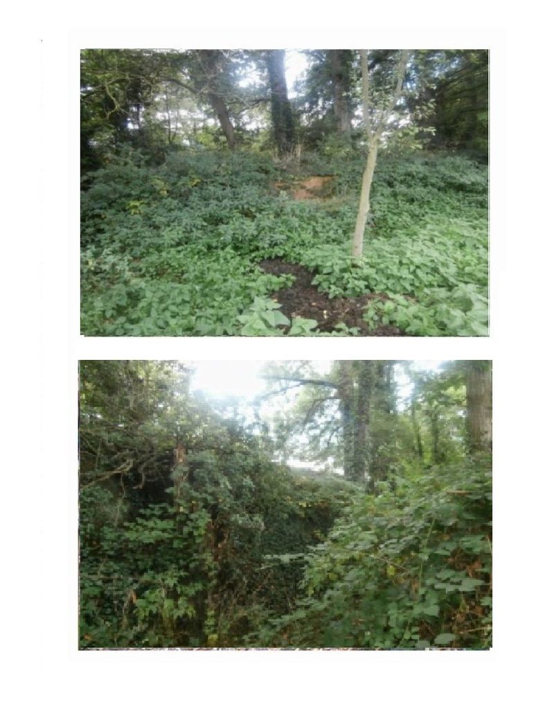 Les mottes castrales - poudouvre