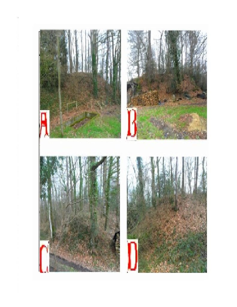 Les mottes castrales - poudouvre