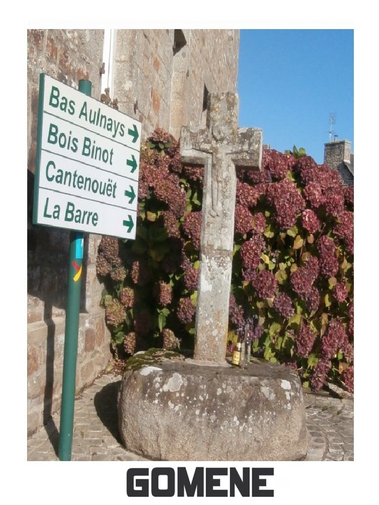 Gomené (x 12) - poudouvre