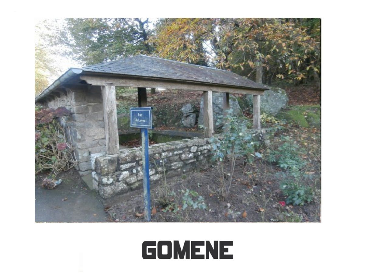 Gomené (x 12) - poudouvre