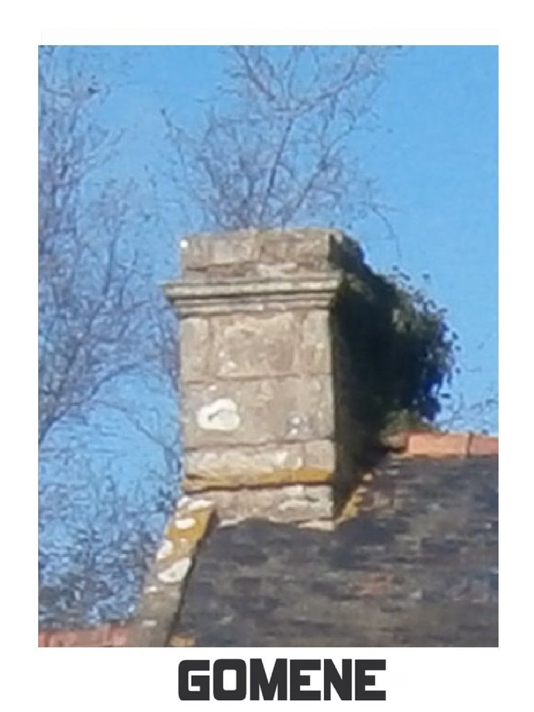 Gomené (x 12) - poudouvre