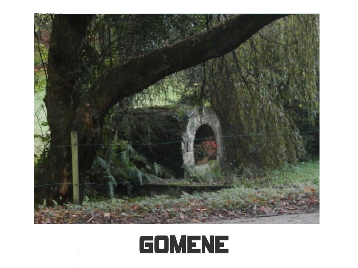 Gomené (x 12) - poudouvre