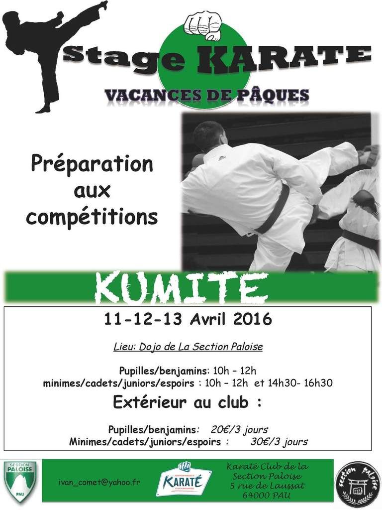 Affiches Stages - Karaté 64