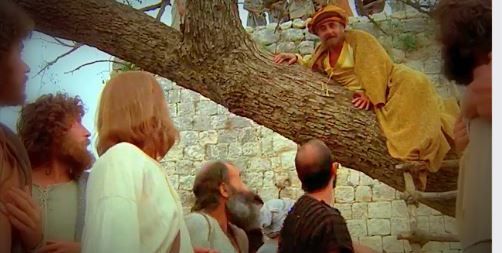 Zachée, celui qui a voulu voir Dieu - Notre Dame de l'Espérance du ...