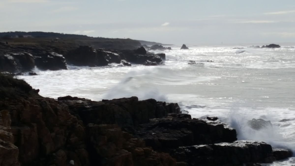 Promenade de mars sur la côte sauvage du Château d'Olonne