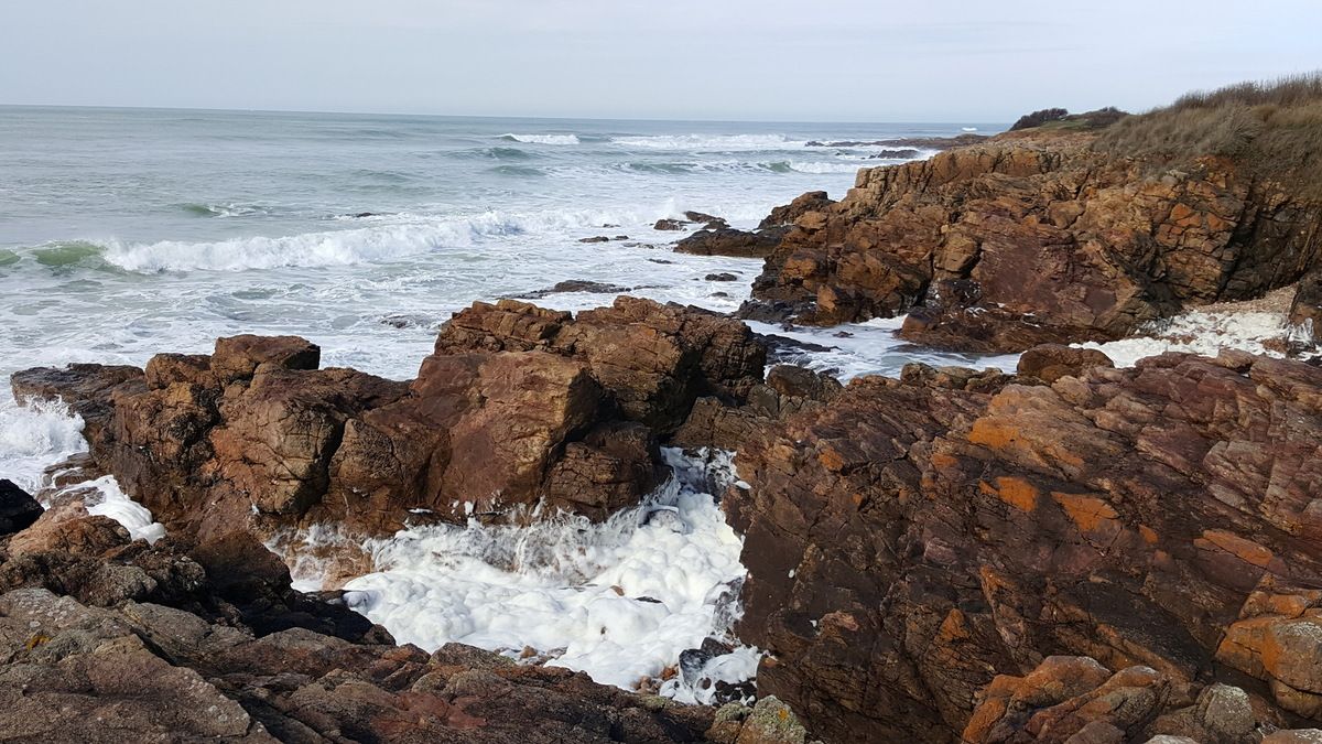 Promenade de mars sur la côte sauvage du Château d'Olonne