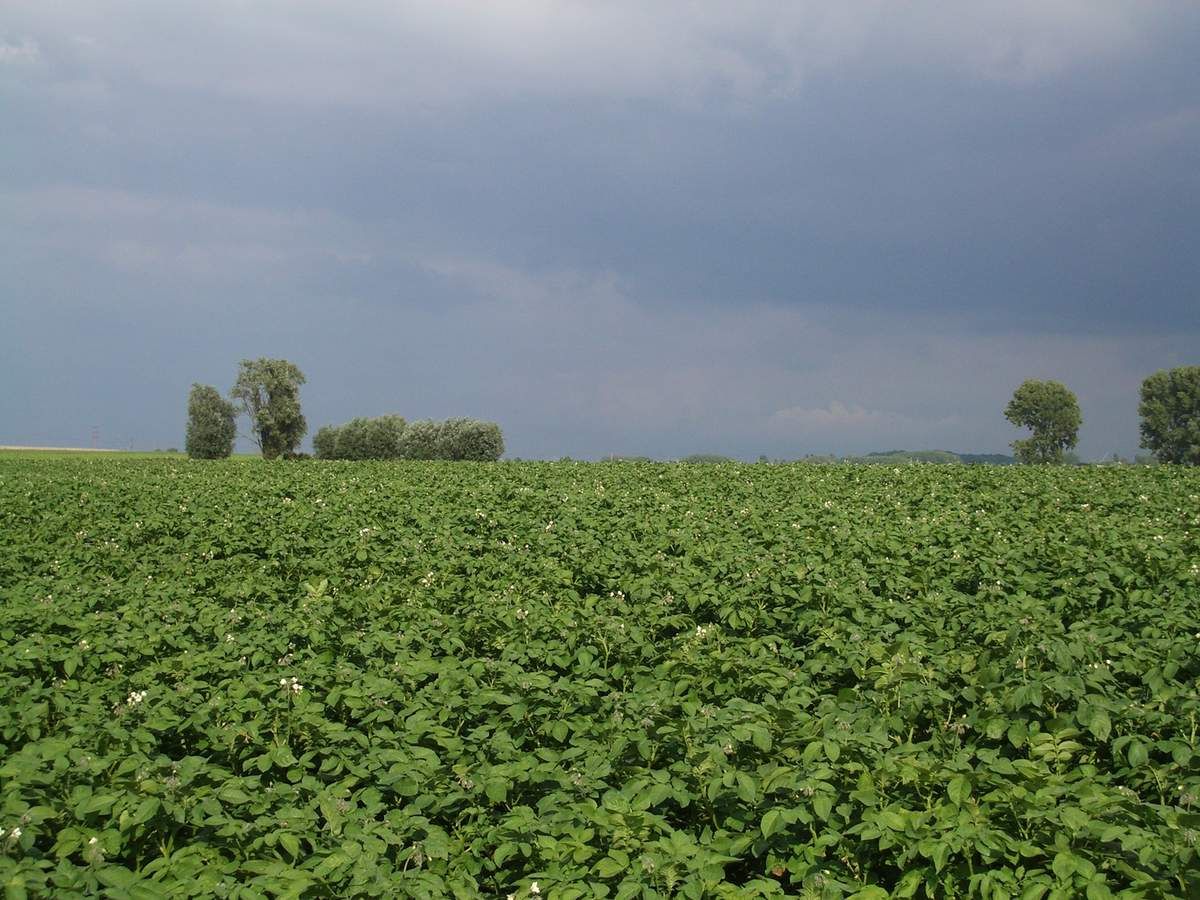 LINSELLES - BLOG RANDONNEE ET TOURISME