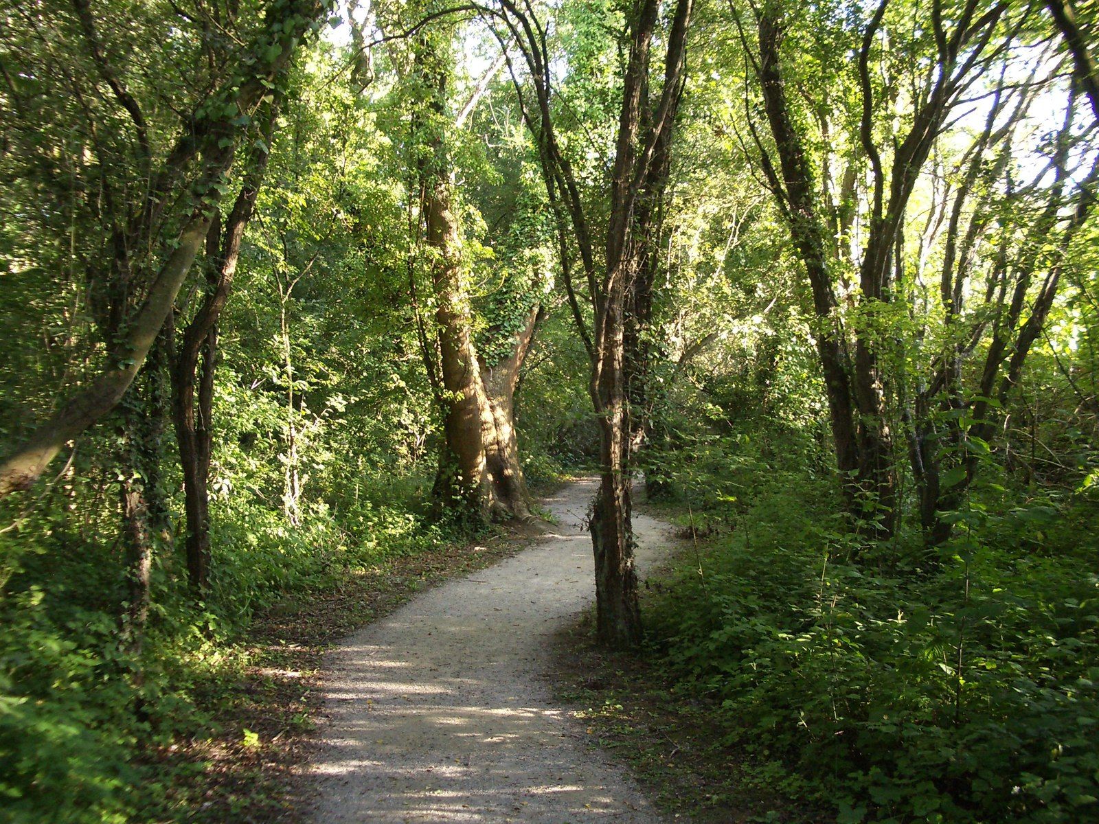 MARAIS DE CAMBRIN ET ANNEQUIN - BLOG RANDONNEE ET TOURISME