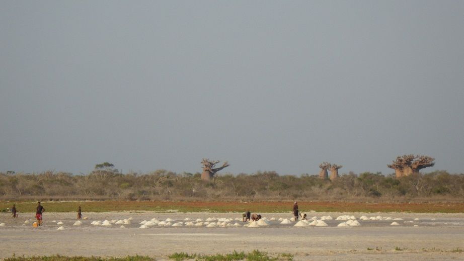 Andavadoaka (Madagascar) - Les Globe-Croqueurs