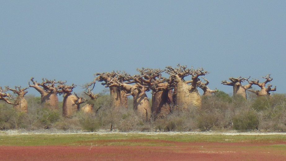 Morombe, Manja et Ankilimanjaka (Madagascar) - Les Globe-Croqueurs