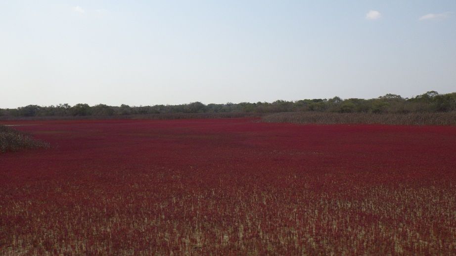 Morombe, Manja et Ankilimanjaka (Madagascar) - Les Globe-Croqueurs