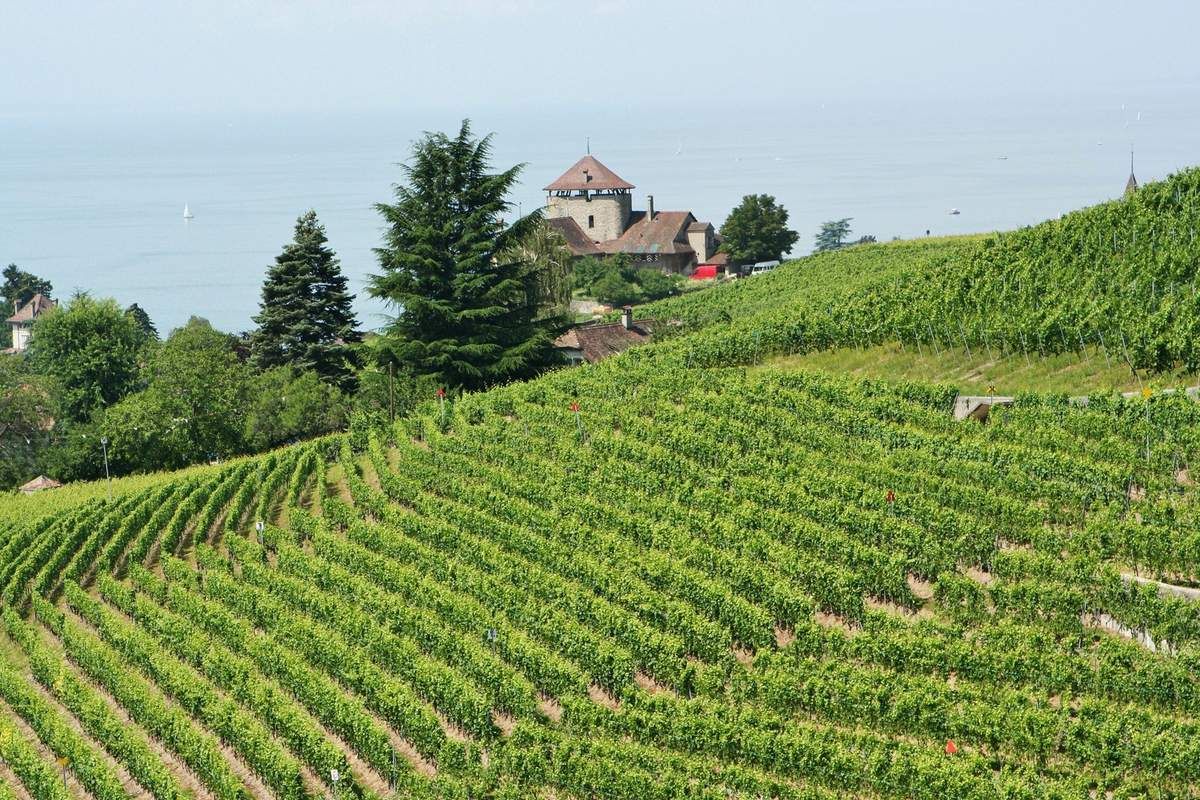 Et si vous participiez au Swiss Sommeliers Challenge ! - Bulles Gourmandes